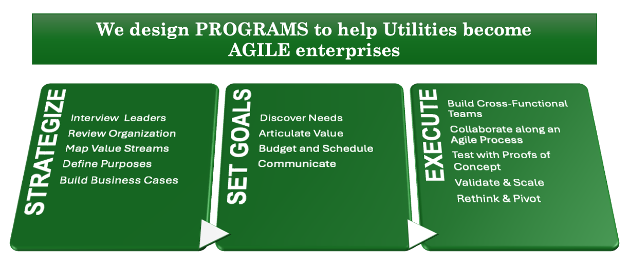 Agile Programs for Utilities – Fidesty